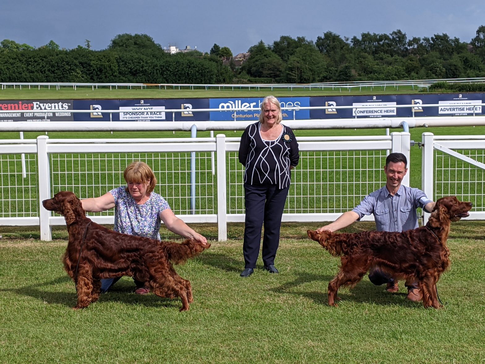 Midlands Irish Setter Society – Irish Setter Club