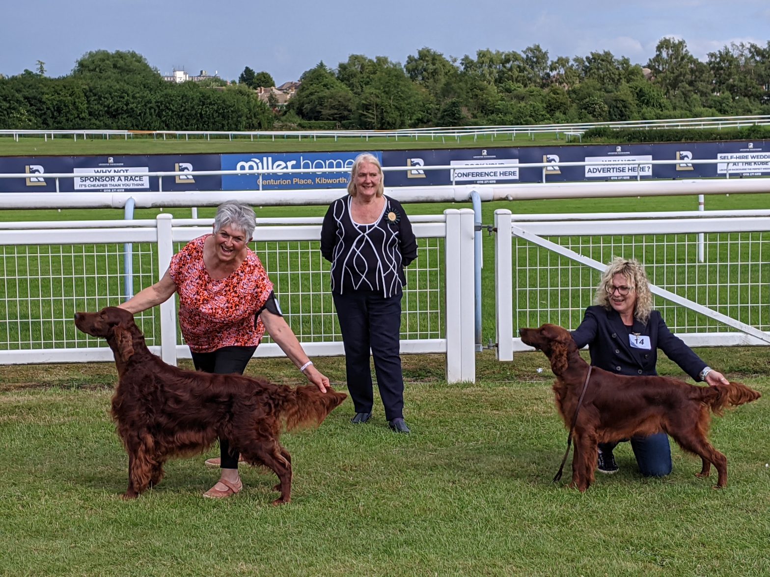 Midlands Irish Setter Society – Irish Setter Club