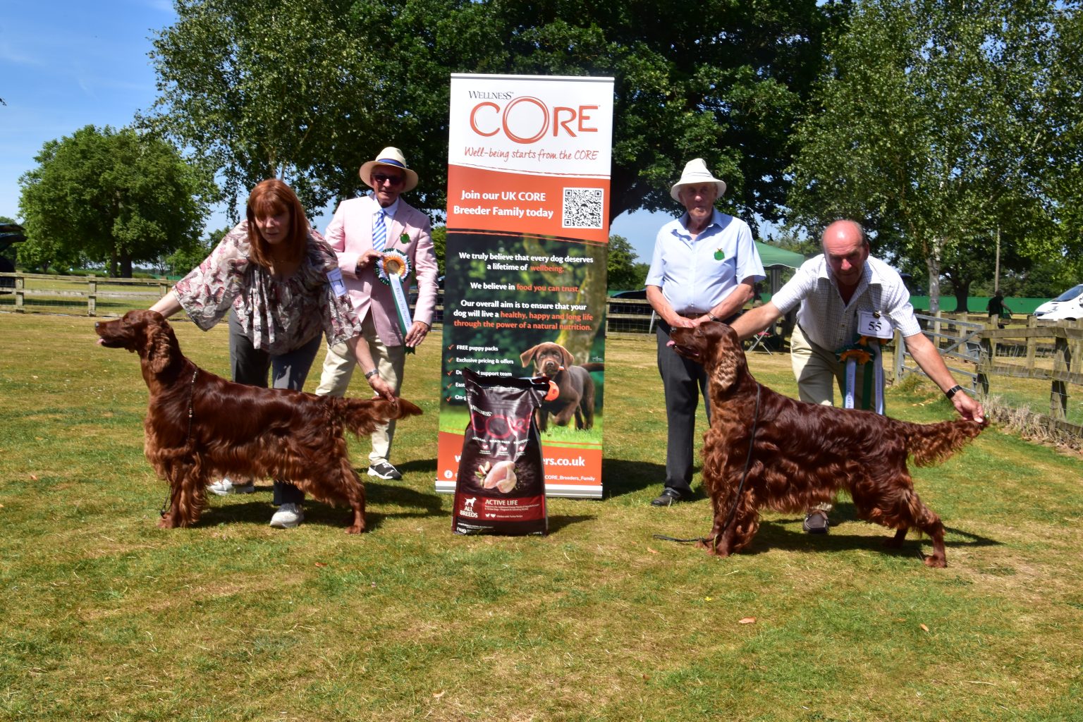 Joint ChSh 2022 – Midlands Irish Setter Society